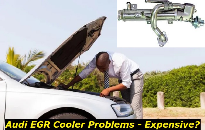 Audi EGR Cooler Problems – Avoiding and Fixing the Issues
