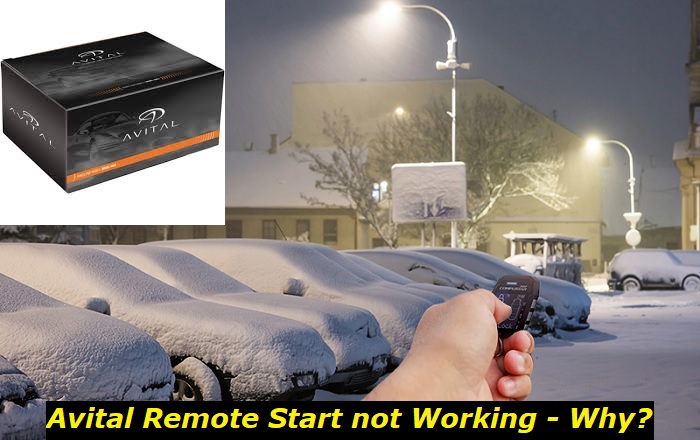 Avital Remote Start not Working. Resetting and Repairing the System