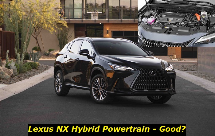 2022-2024 Lexus NX 350h and 450h+ Hybrid Engine (A25A-FXS/A25B-FXS ...