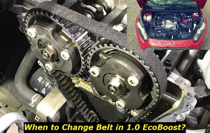 1.0 EcoBoost Timing Belt Interval Questions Answered